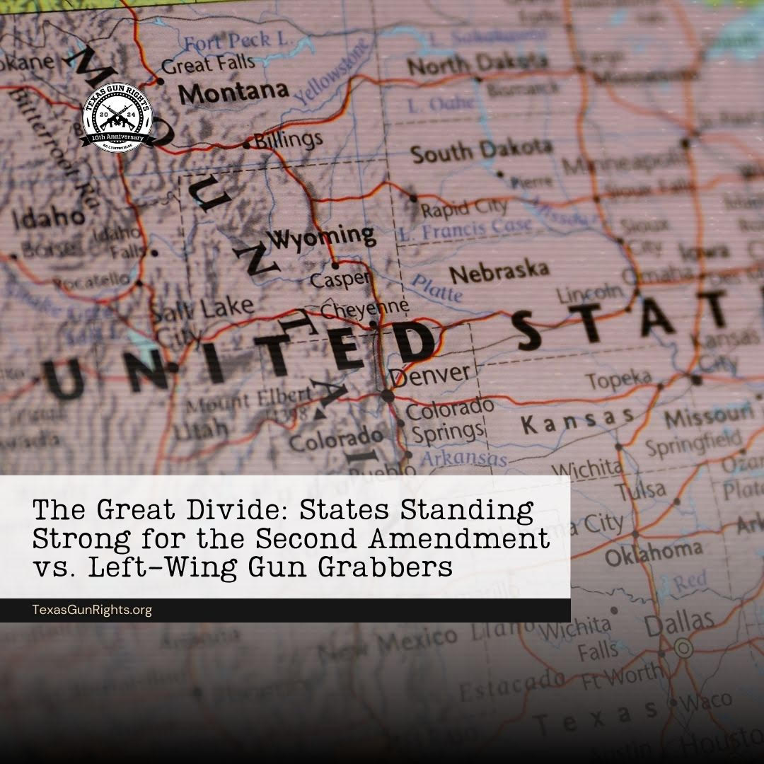 The Great Divide: States Standing Strong for the Second Amendment vs ...