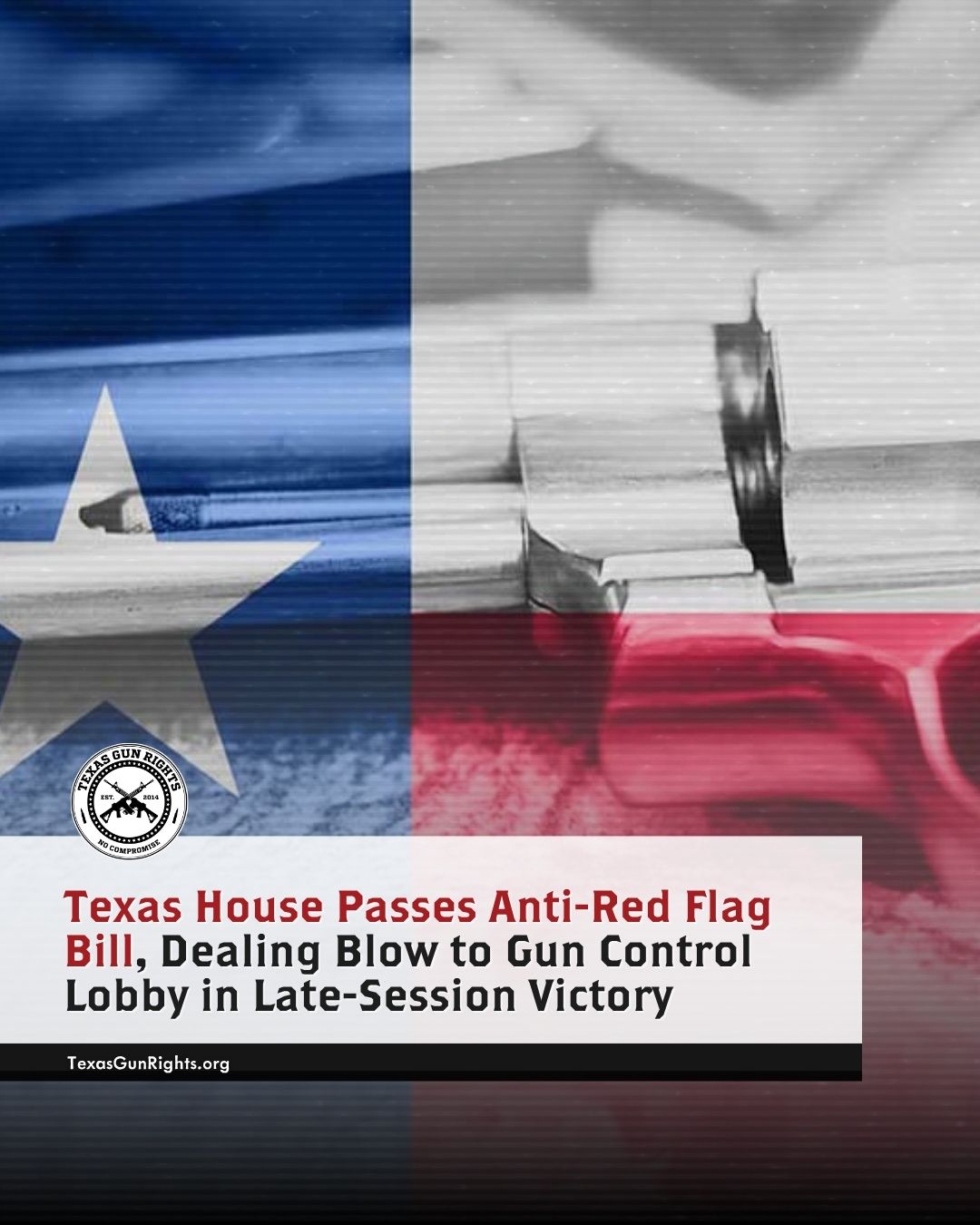Texas House Passes Anti-Red Flag Bill, Dealing Blow to Gun Control ...